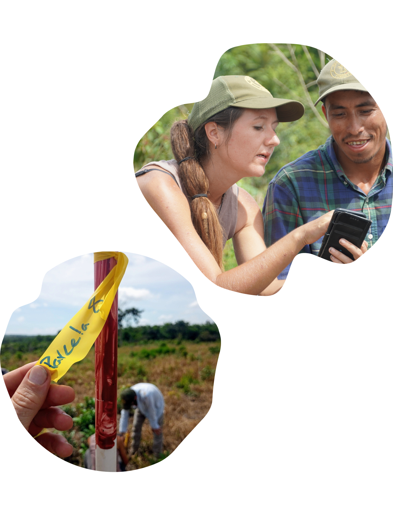 Open Forest Protocol | Project Developers